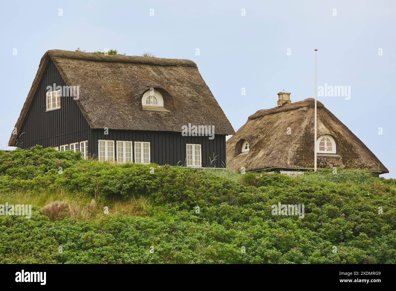 houses with thatched roofs on a hill in Denmark Stock Photo - Alamy
