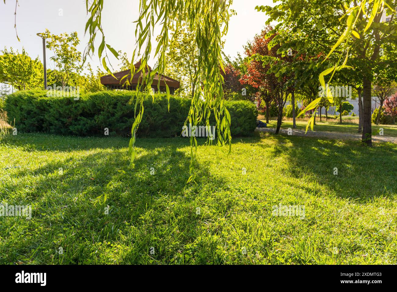 Lush Green Park with Gazebo in the Background Stock Photo - Alamy
