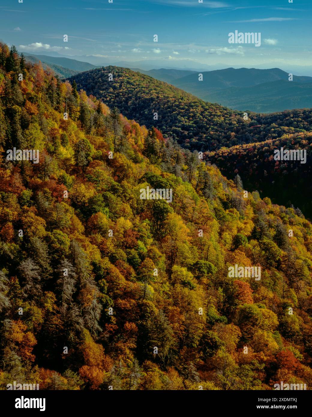 Autumn Color, East Fork Pigeon River Overlook, Blue Ridge Parkway ...