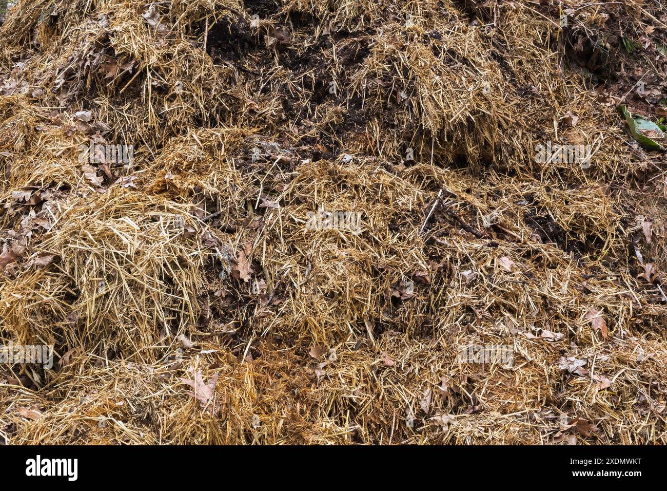 Straw and deciduous leaves in pile of compost in spring Stock Photo - Alamy