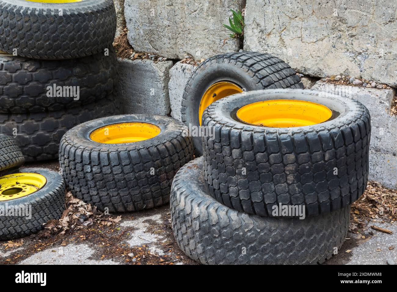 Assorted motor vehicle rubber tires with yellow rims in cement block ...