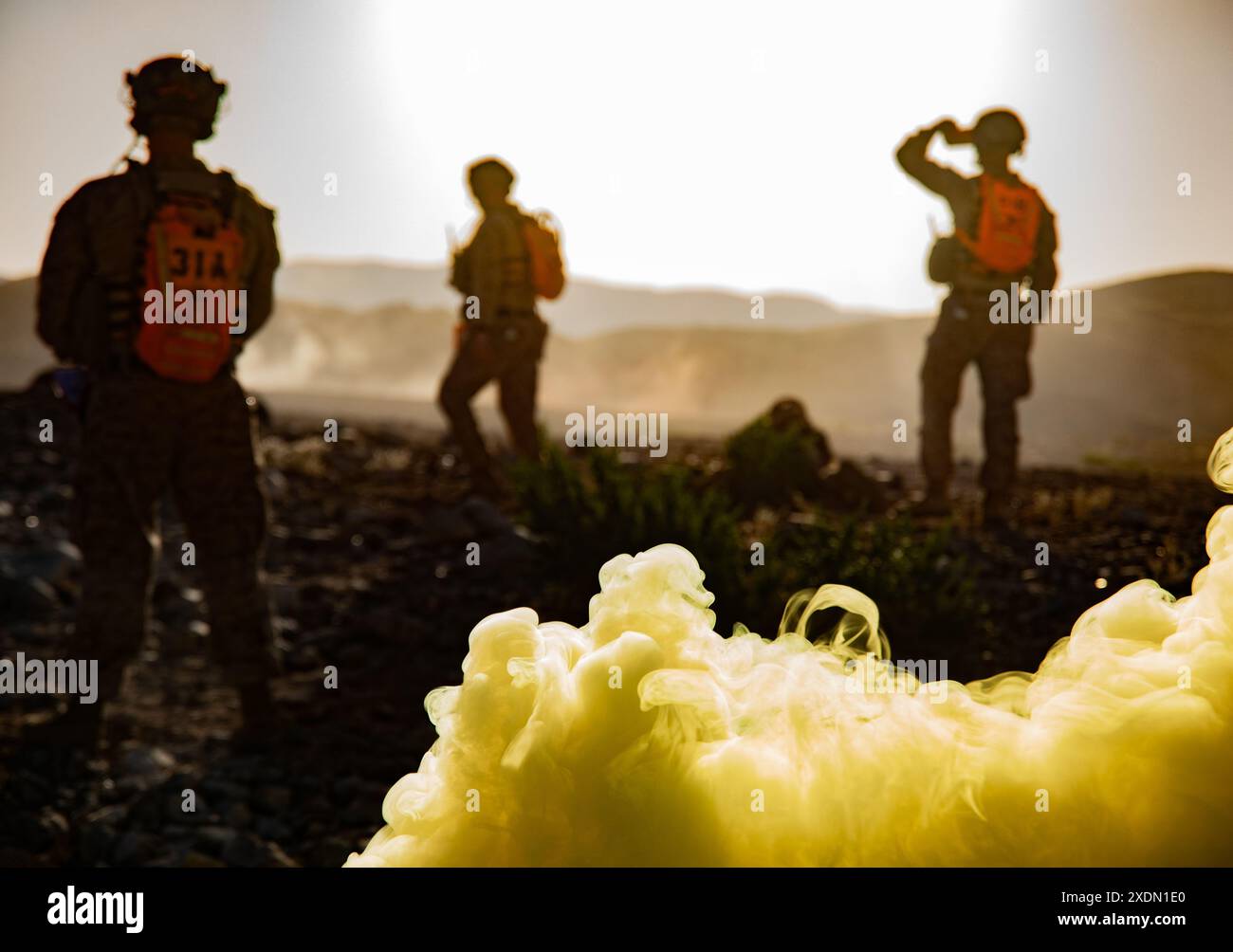 U.S. Marines with Tactical Training and Exercise Control Group observe ...
