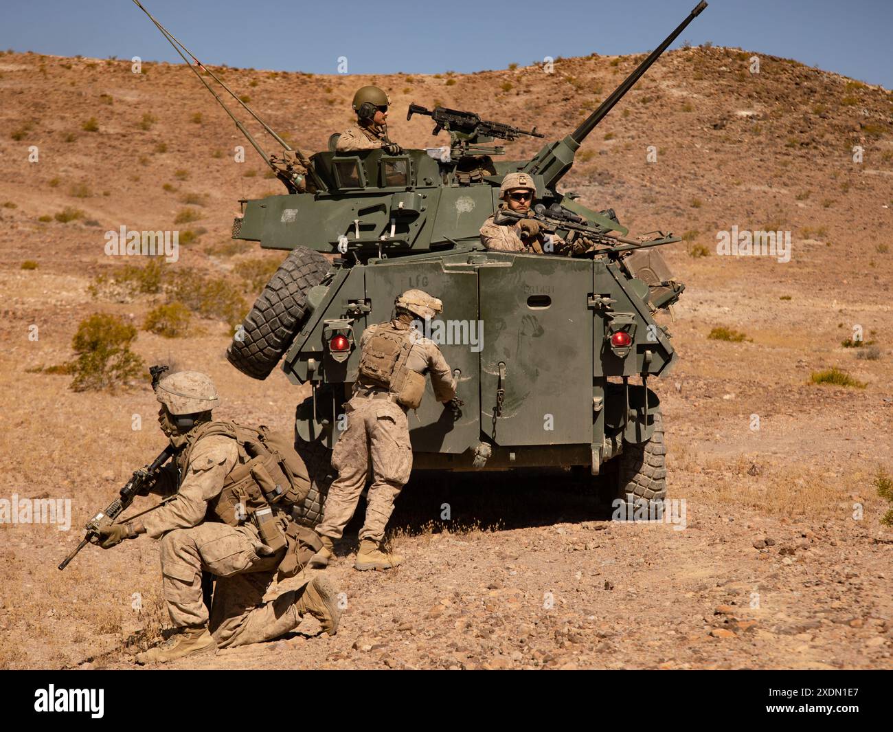 U.S. Marines with 4th Light Armored Reconnaissance Battalion, 4th ...