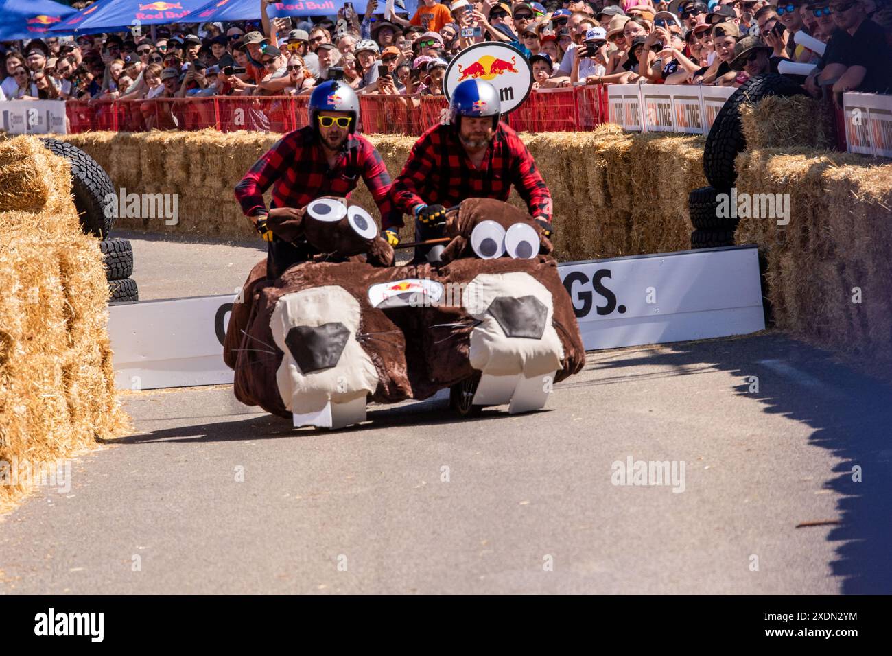 Edmonton, Alberta, Canada. 22nd June, 2024. Team Beaver Rodeo land on ...