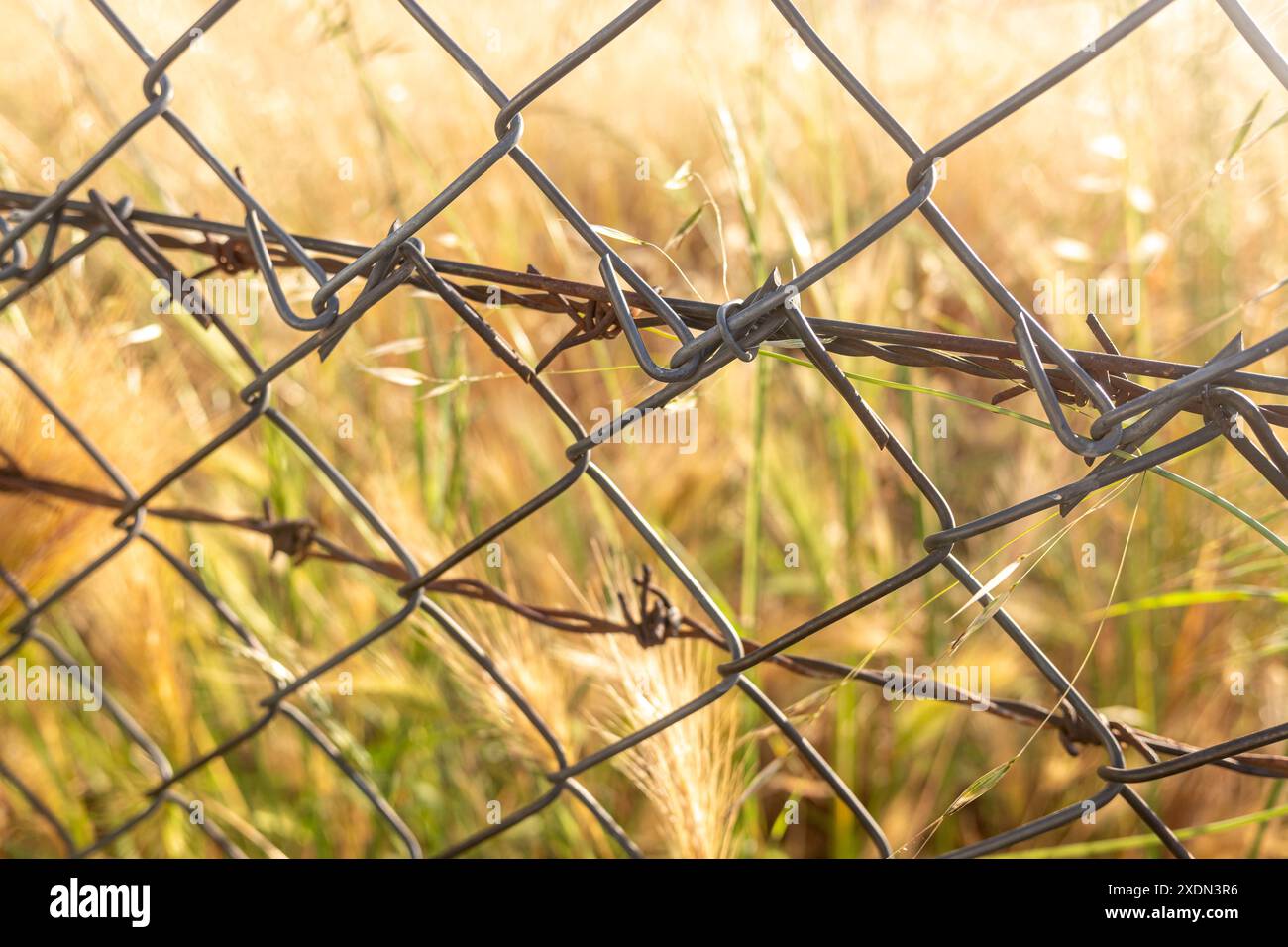 close-up view of detail of barbed wire and chain-link fence Stock Photo ...