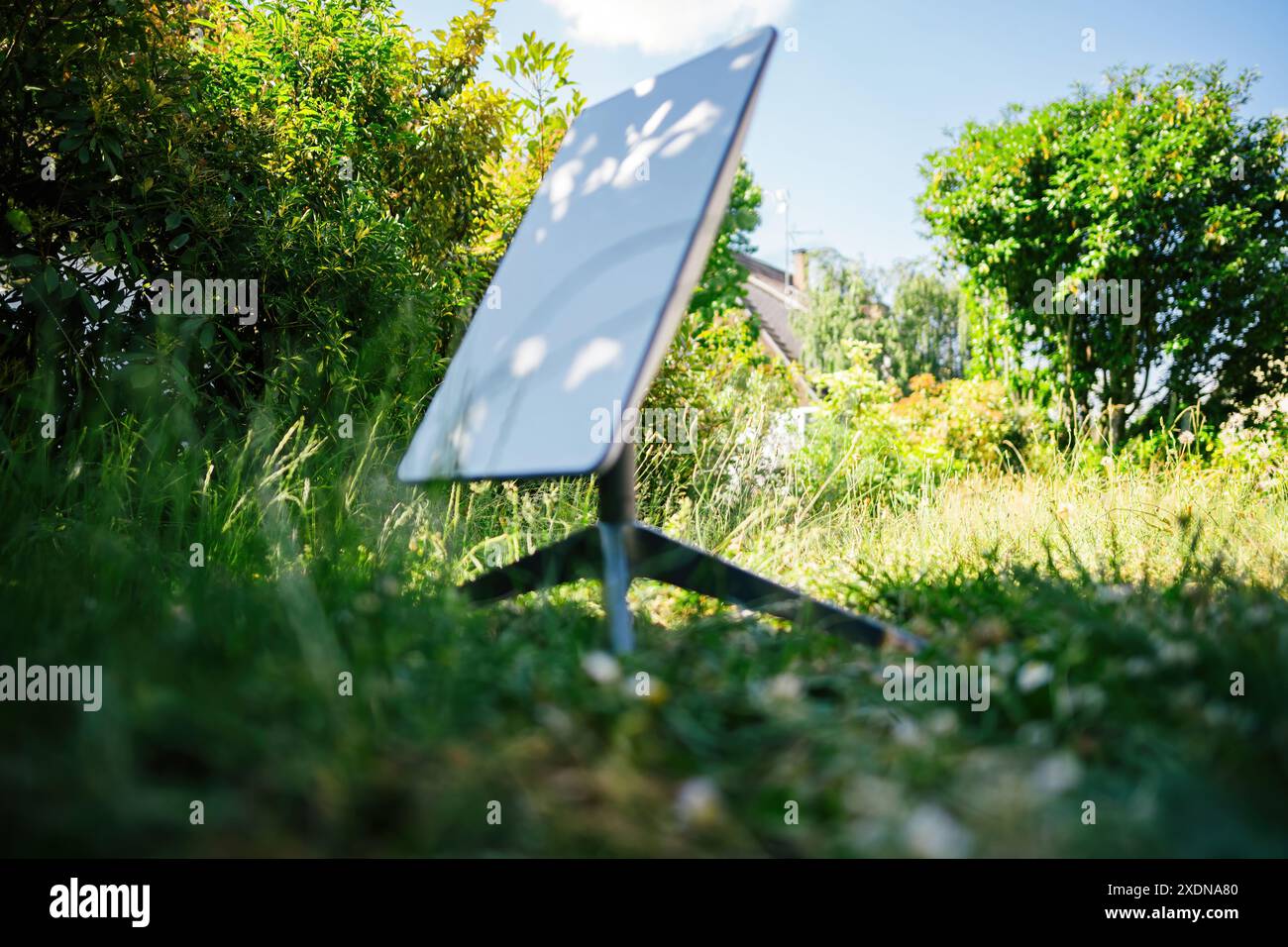 Frankfurt, Germany - Jun 15, 2023: A defocused view of a Starlink by ...