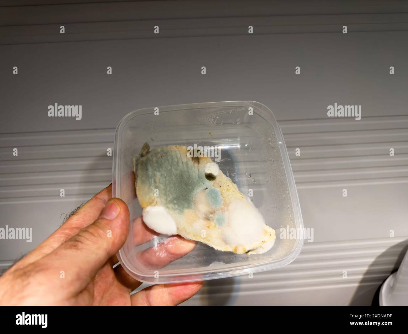 Spoiled meat hi-res stock photography and images - Alamy