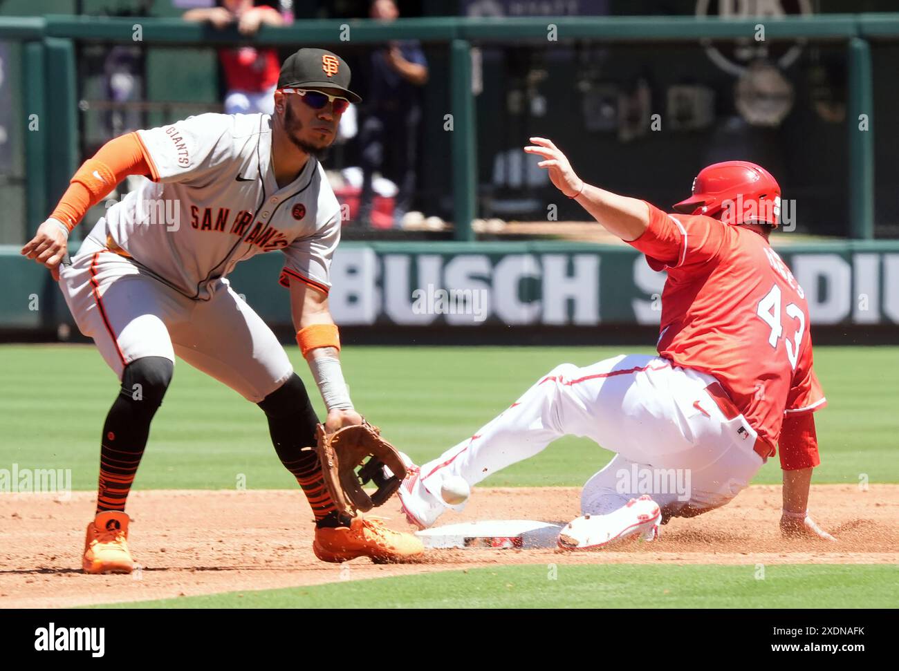 St. Louis, United States. 23rd June, 2024. St. Louis Cardinals Pedro ...