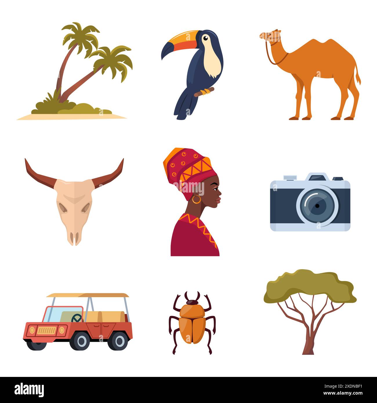 Africa and Safari elements and icons. Palm, toucan, photo camera ...