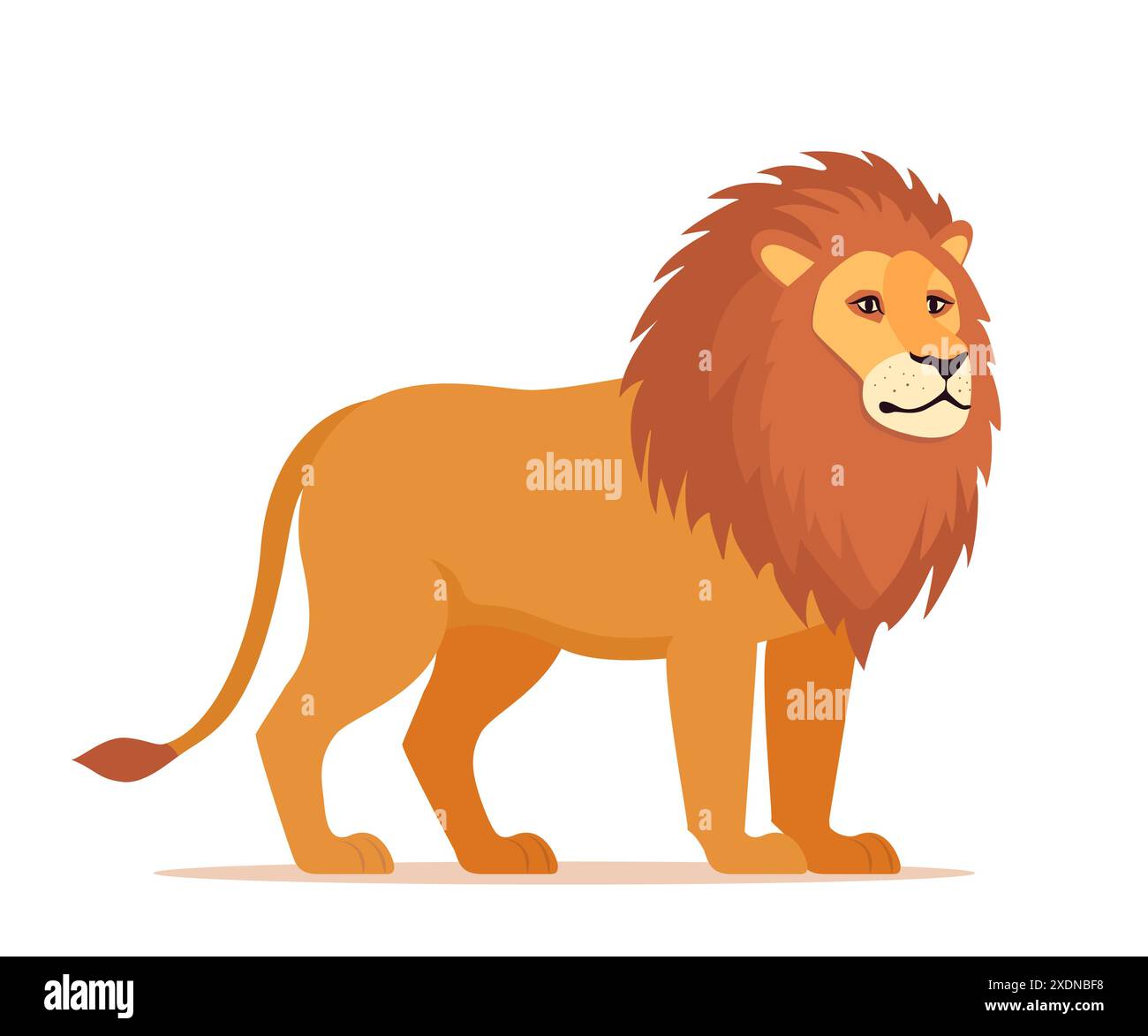 Standing lion, African wild animal. Lion walking profile, body side ...