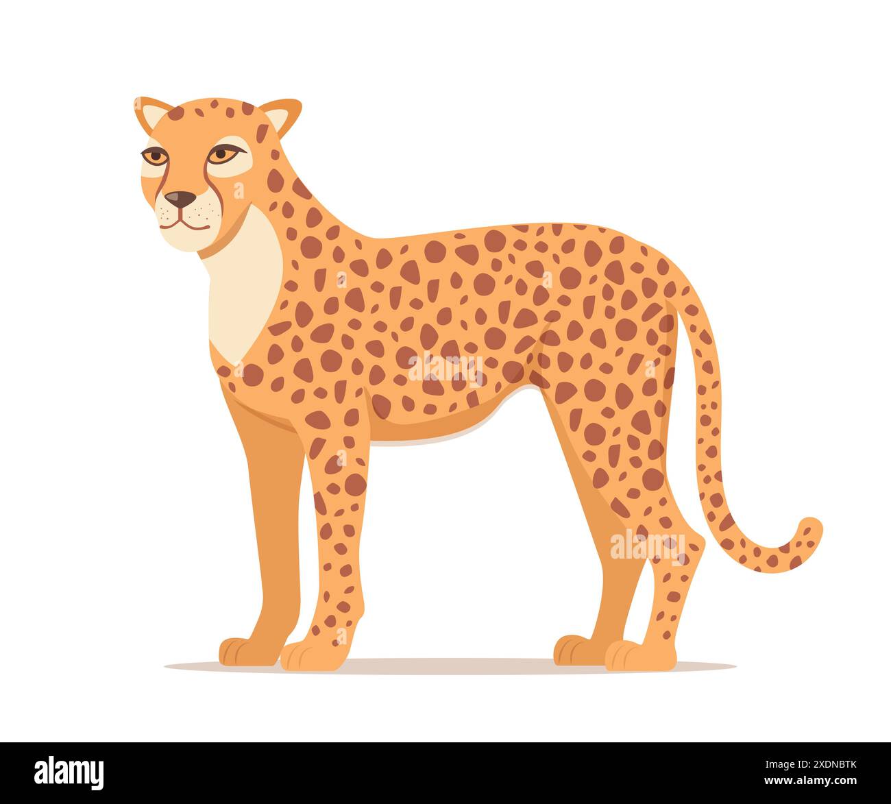 Cheetah on african savannah Cut Out Stock Images & Pictures - Alamy