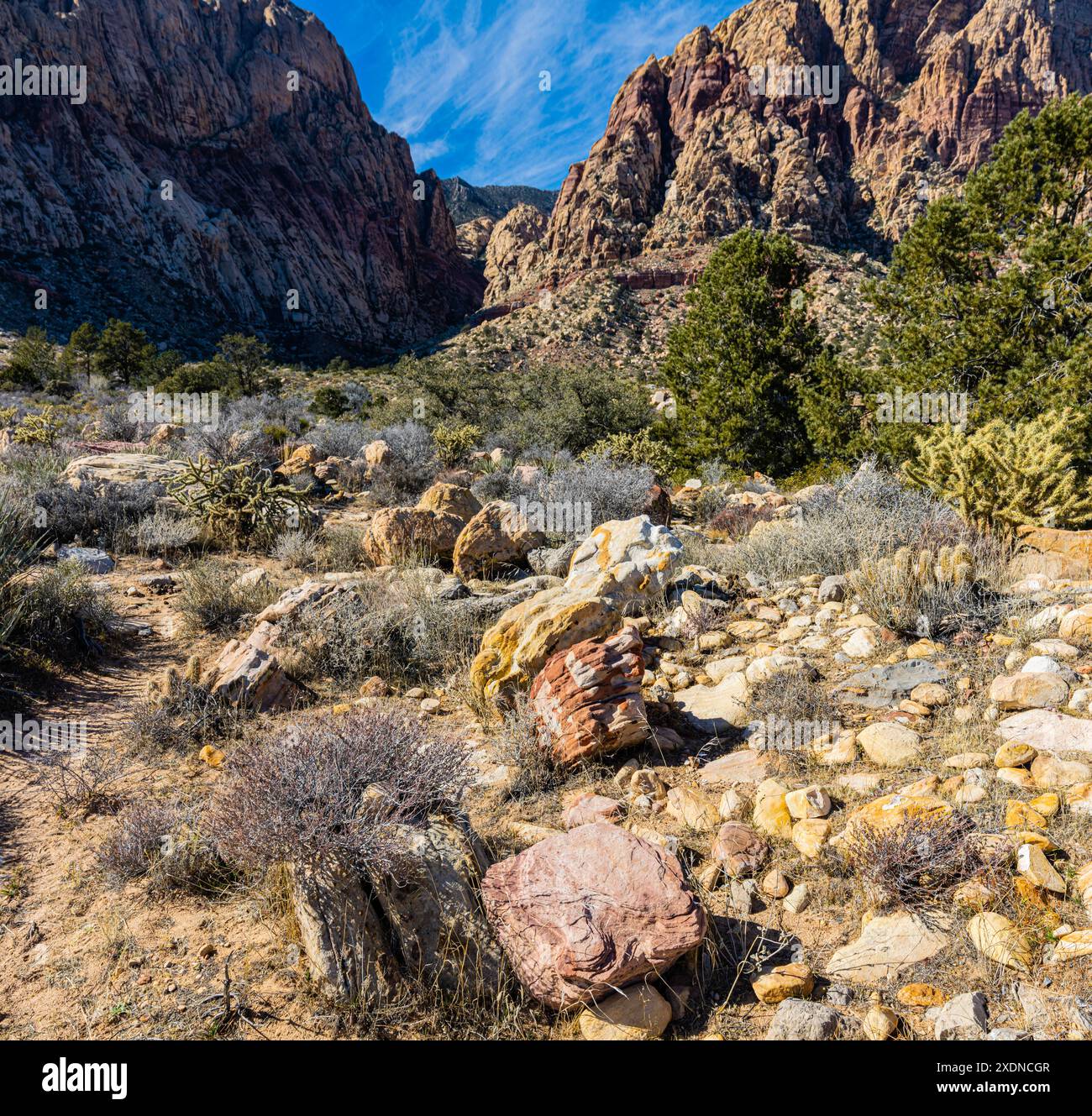 First Creek Canyon and The Rainbow Mountains on The First Creek Trail ...