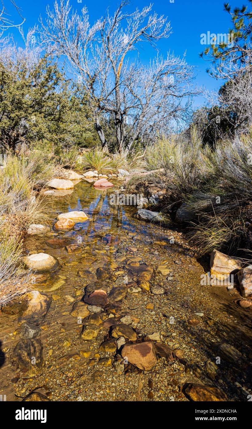 Reflections on First Creek on The First Creek Trail, Red Rock Canyon ...