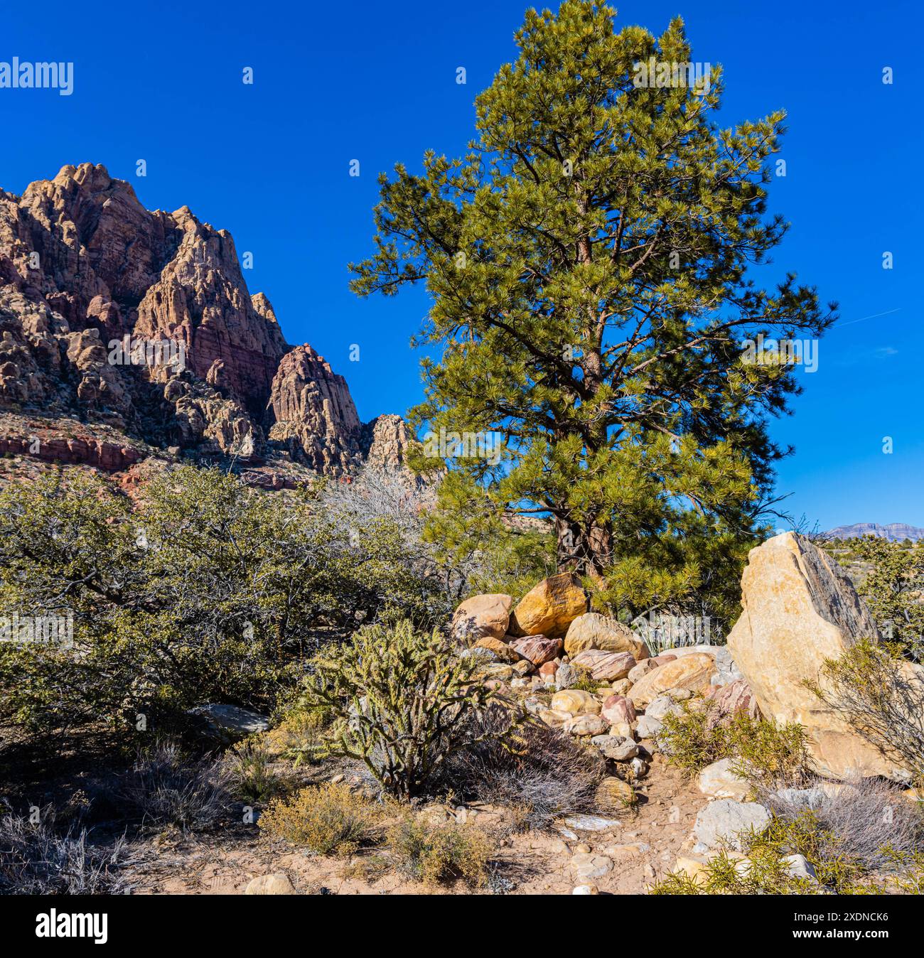 Mt. Wilson on The First Creek Trail, Red Rock Canyon National ...