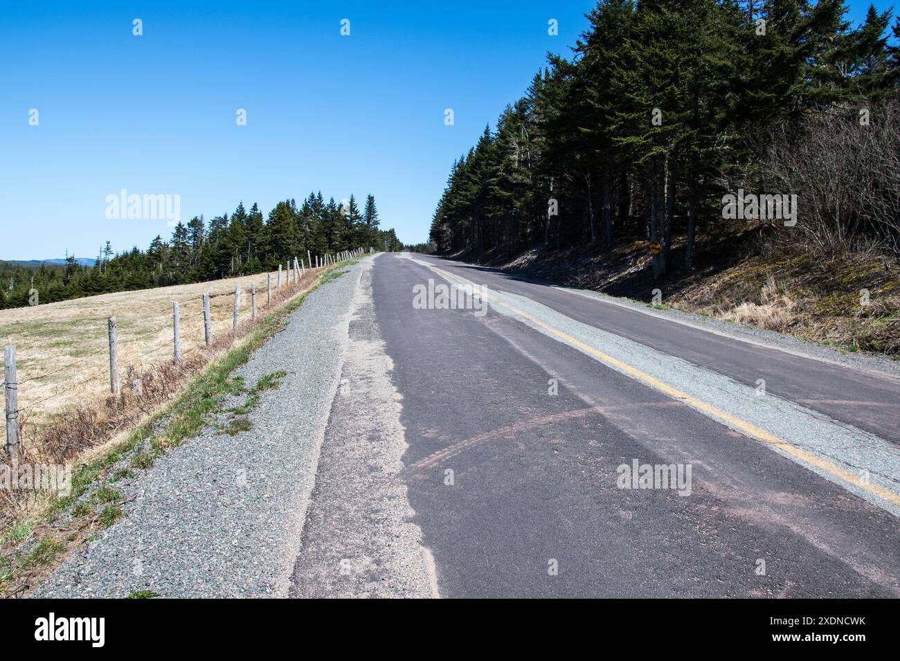 Waterside grass hi-res stock photography and images - Alamy