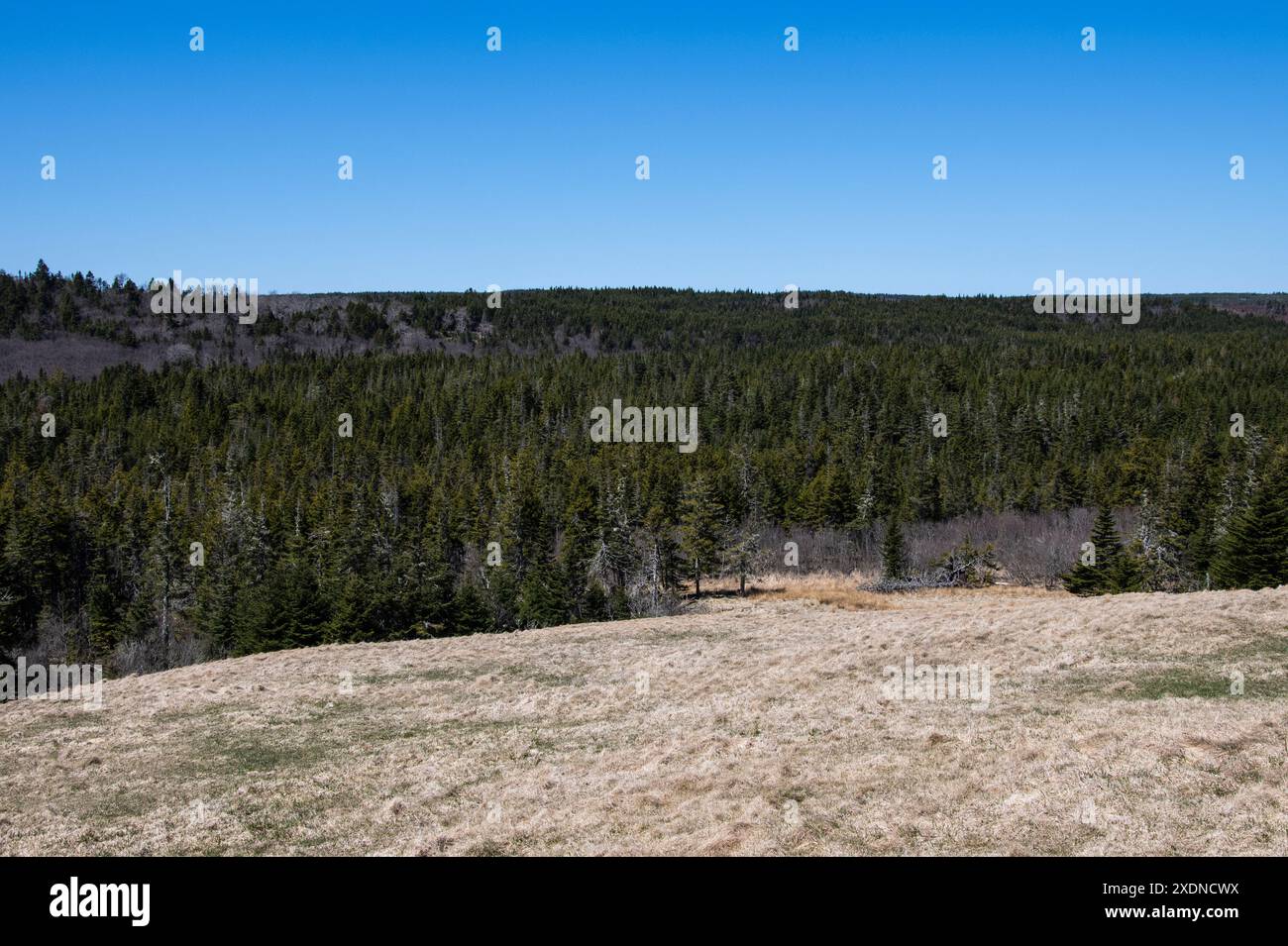 Forests and farmland on NB 915 in Waterside, New Brunswick, Canada ...
