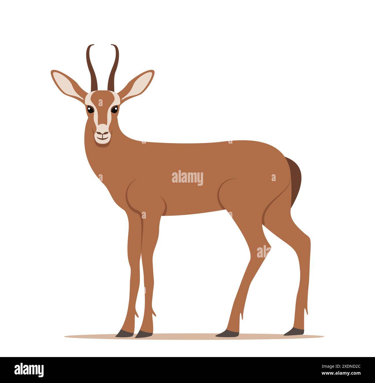 Antelope stand in side view. African wild gazelle with long horns ...