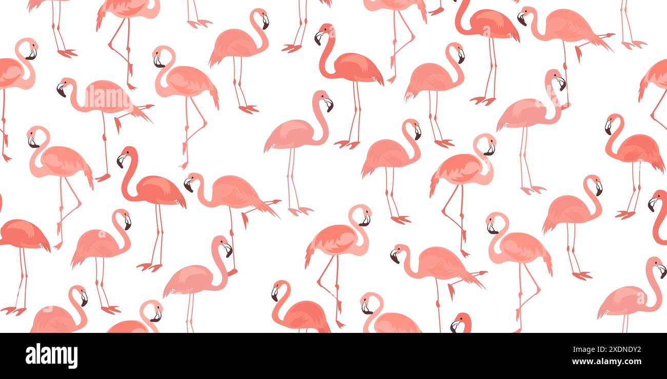 Seamless flamingo bird pattern. Zoo collection. Pink, white vector ...