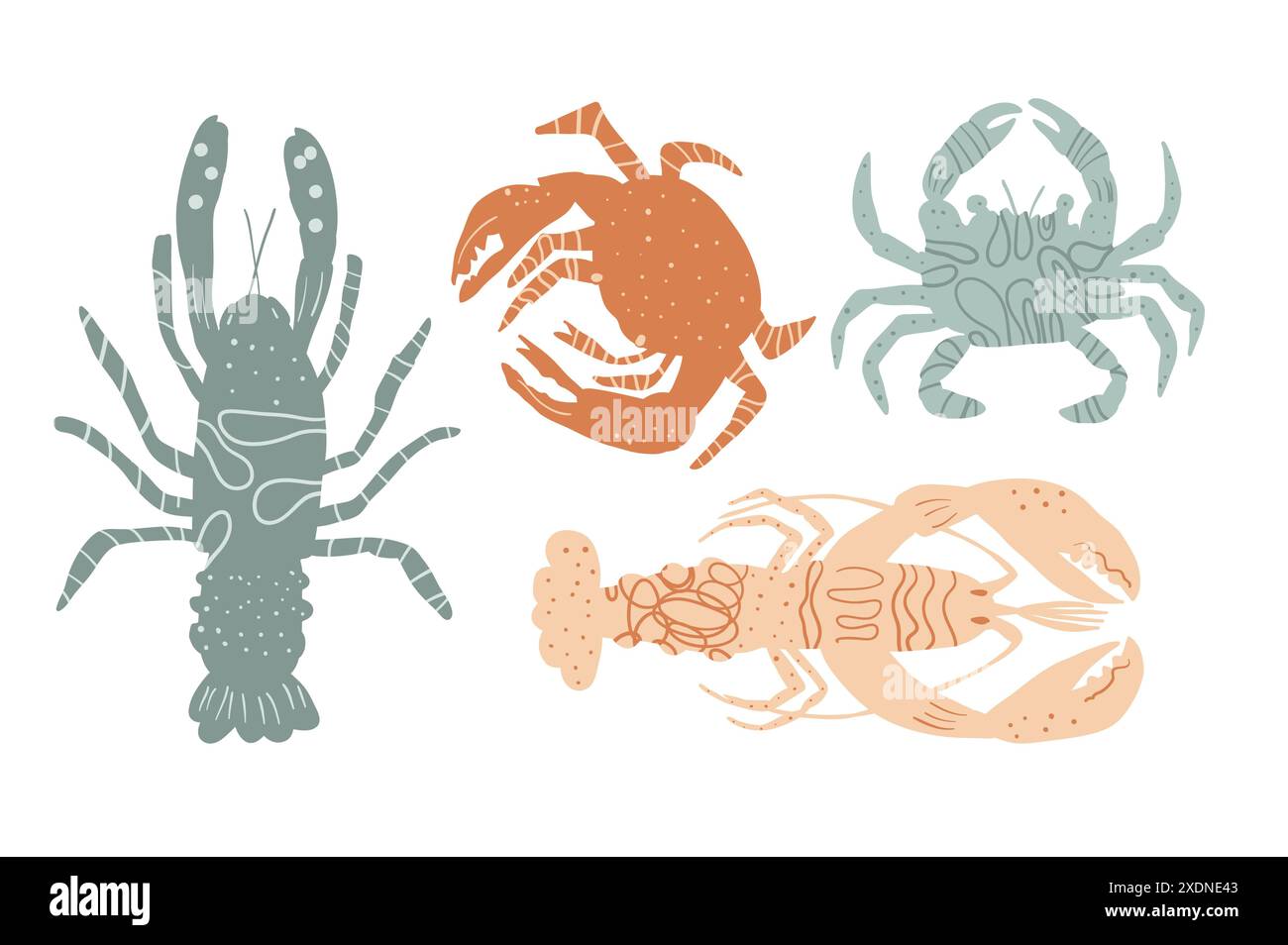 Crustaceans isolated on white background. Marine animals and underwater ...