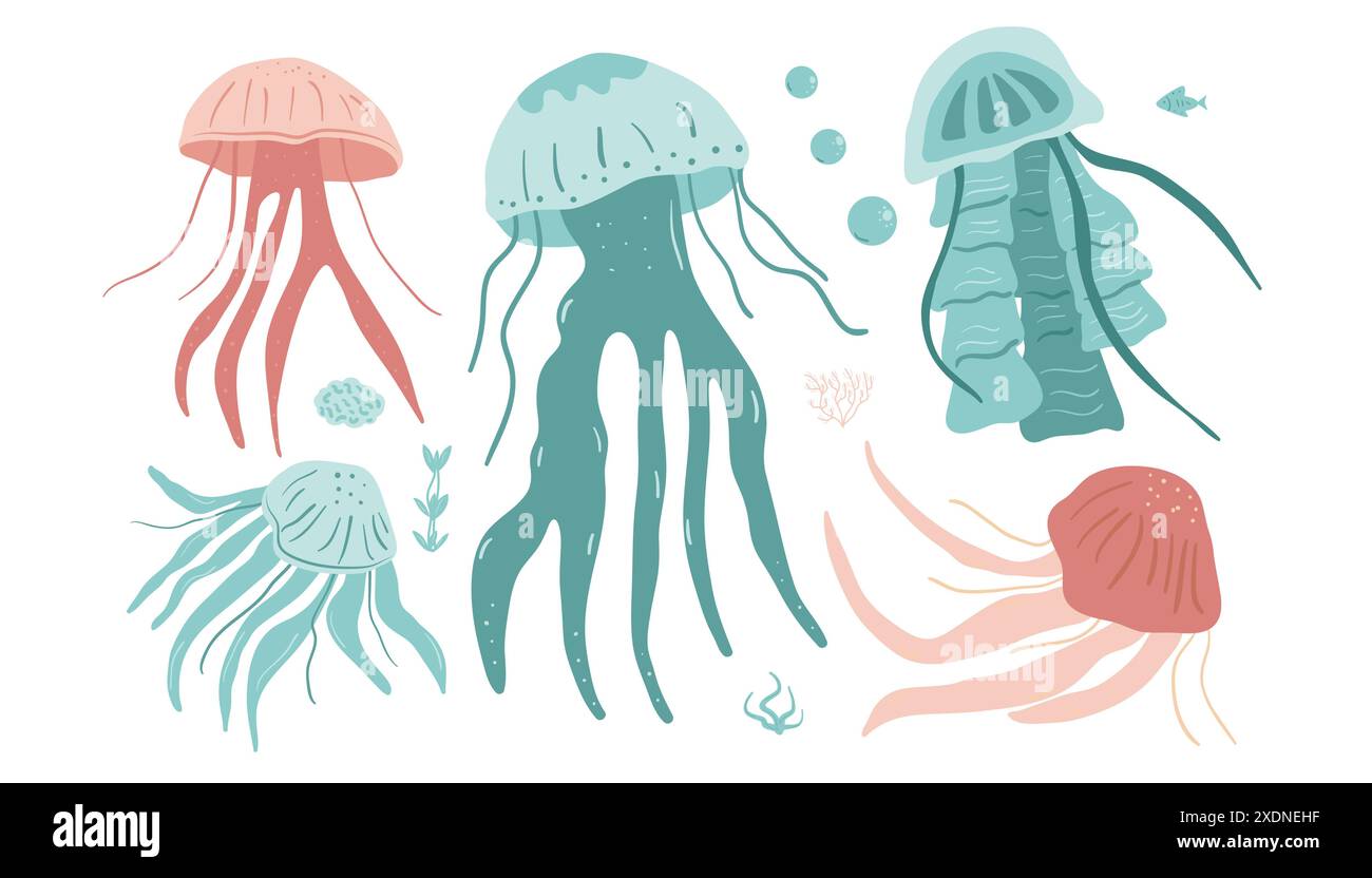 Jellyfishes isolated on white background. Medusa and underwater life ...