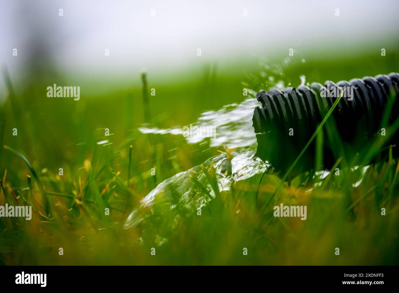 Residential sump pump drain line discharging water into grass yard ...