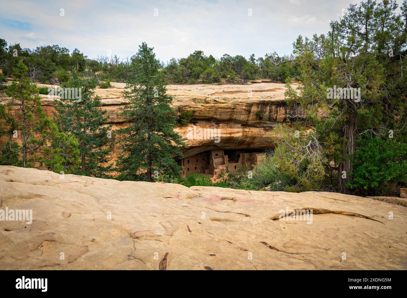 Mesa verde cliff palace ladder hi-res stock photography and images - Alamy