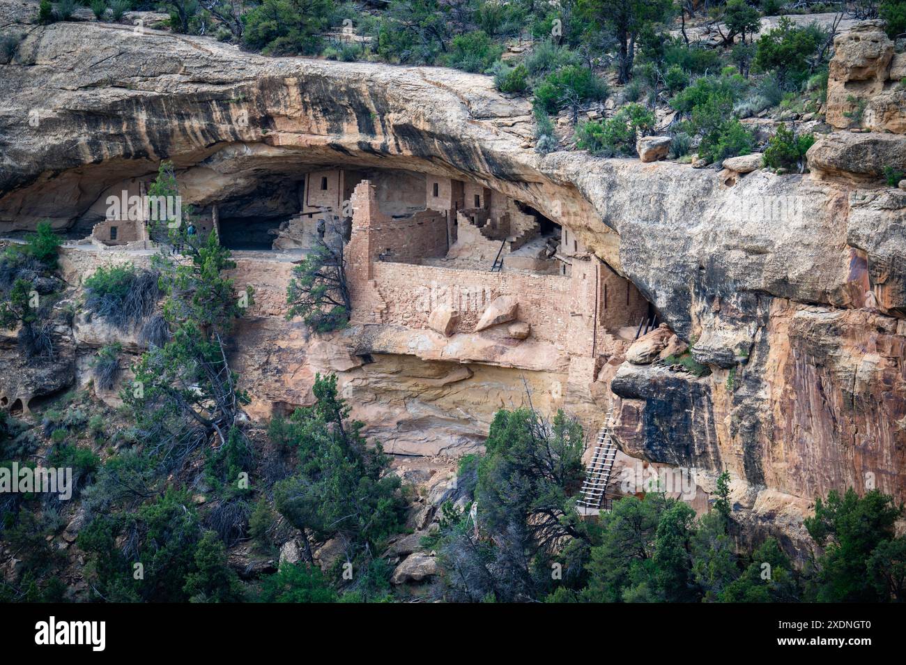 Mesa verde cliff palace ladder hi-res stock photography and images - Alamy