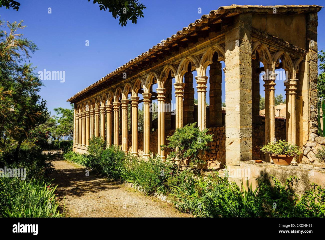 Miramar Monastery, 13th century Gothic arches of the former convent of ...