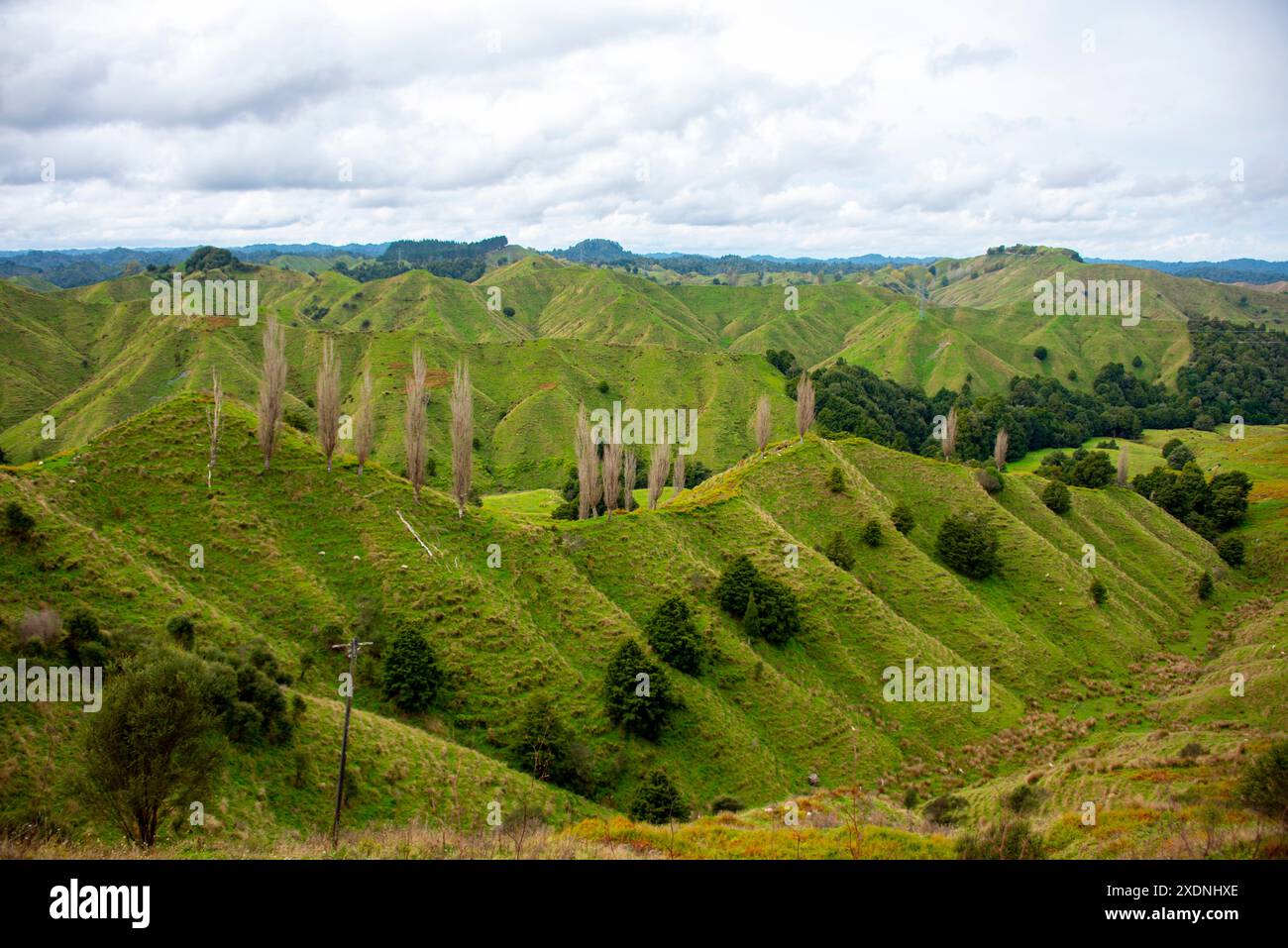 Saddle ridge hi-res stock photography and images - Alamy