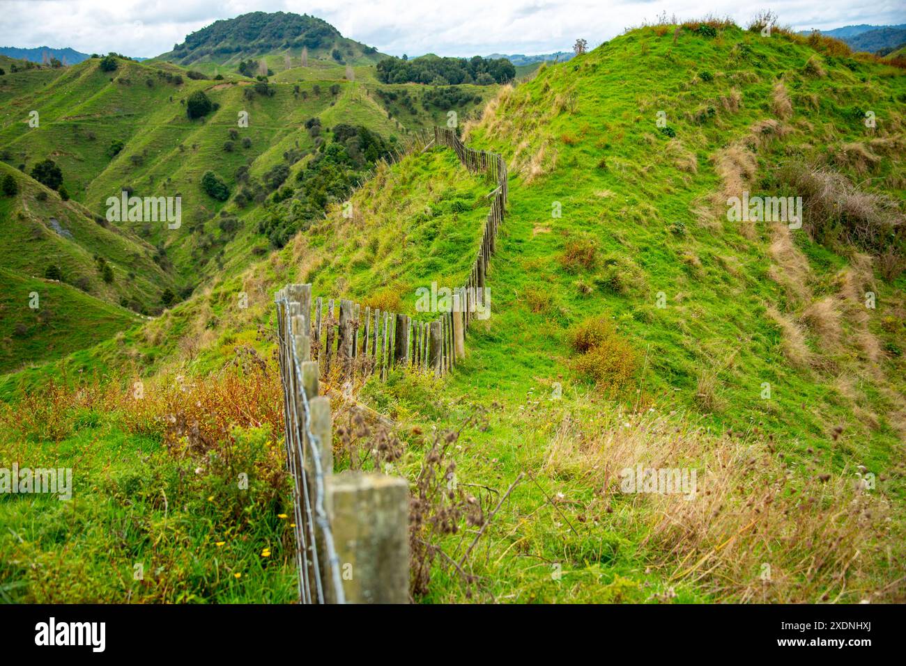 Saddle ridge hi-res stock photography and images - Alamy