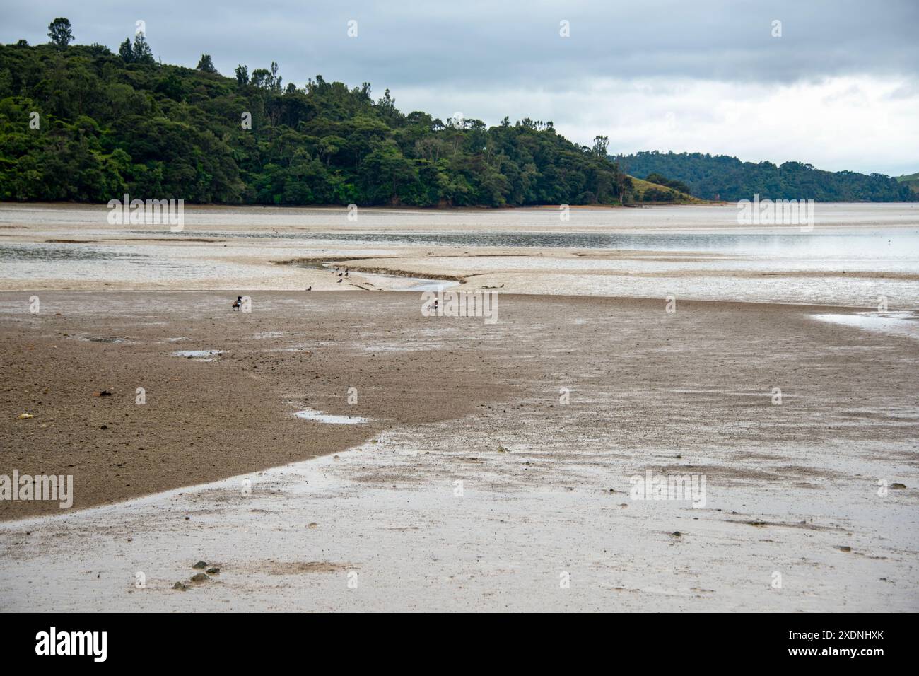 Rakaunui inlet hi-res stock photography and images - Alamy