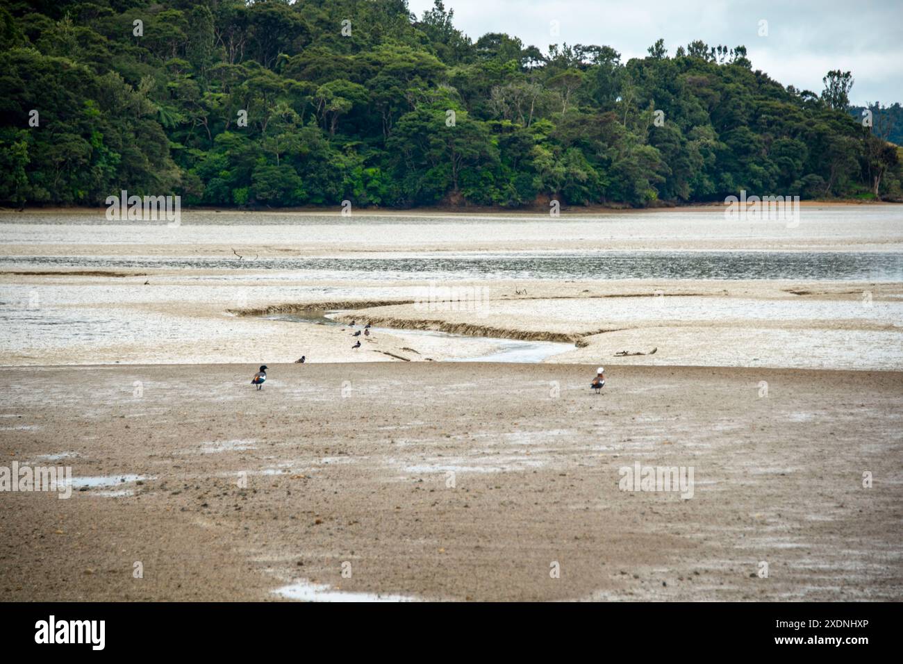 Rakaunui Inlet - New Zealand Stock Photo - Alamy