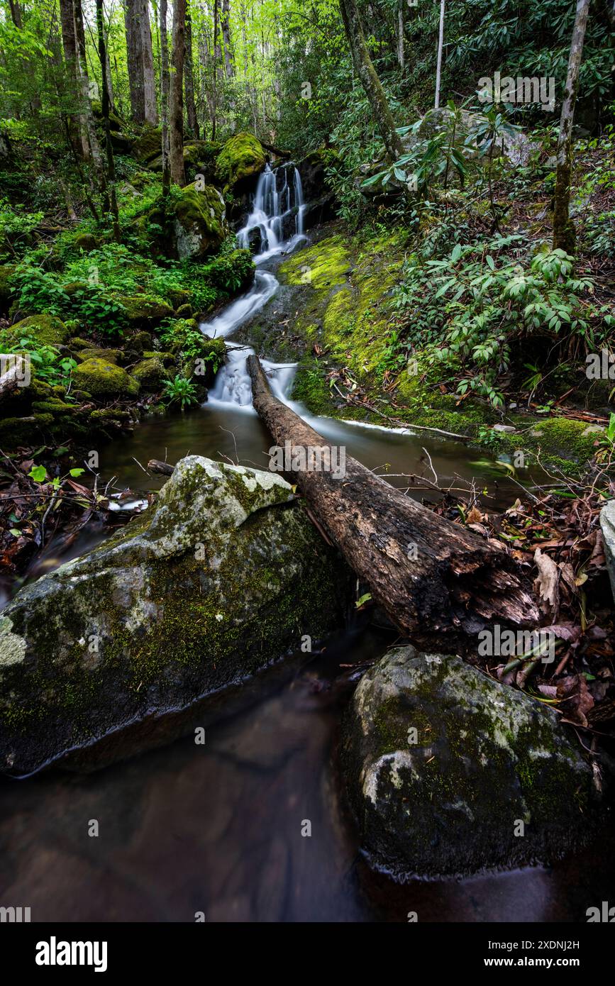 Dark brook waterfall hi-res stock photography and images - Alamy