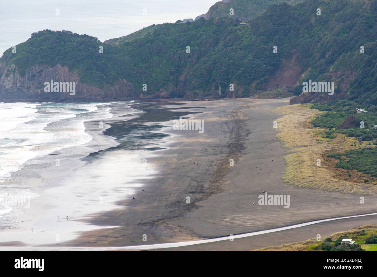 Piha Beach - New Zealand Stock Photo - Alamy