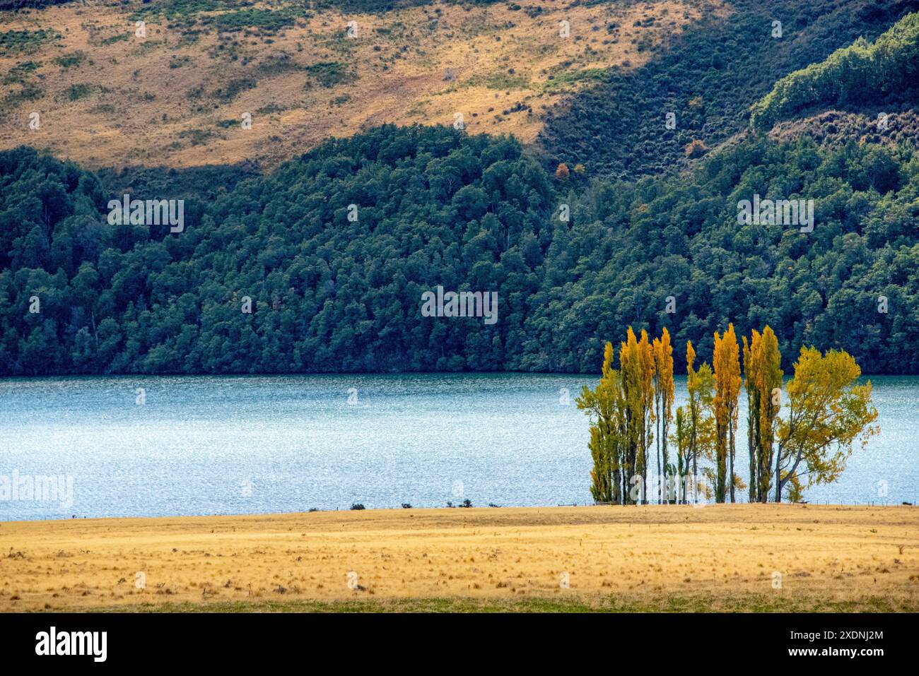 Grasmere misty mist hi-res stock photography and images - Alamy