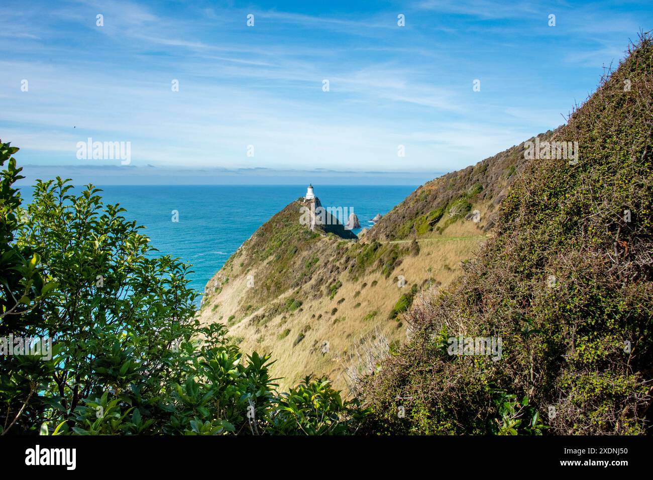 Nugget Point Lighthouse - New Zealand Stock Photo - Alamy