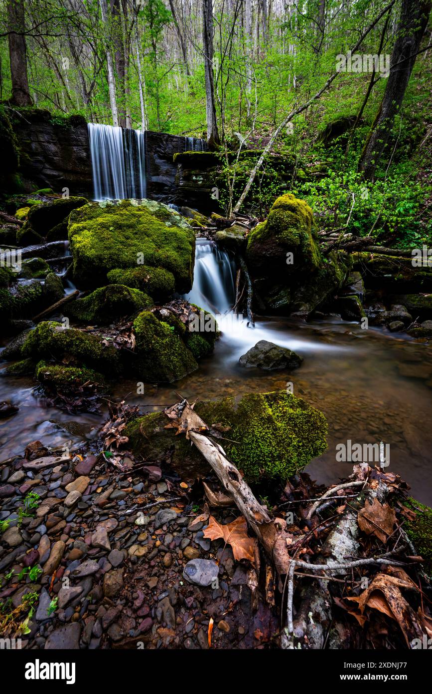 Waterfall in West Virginia Wilderness Stock Photo - Alamy