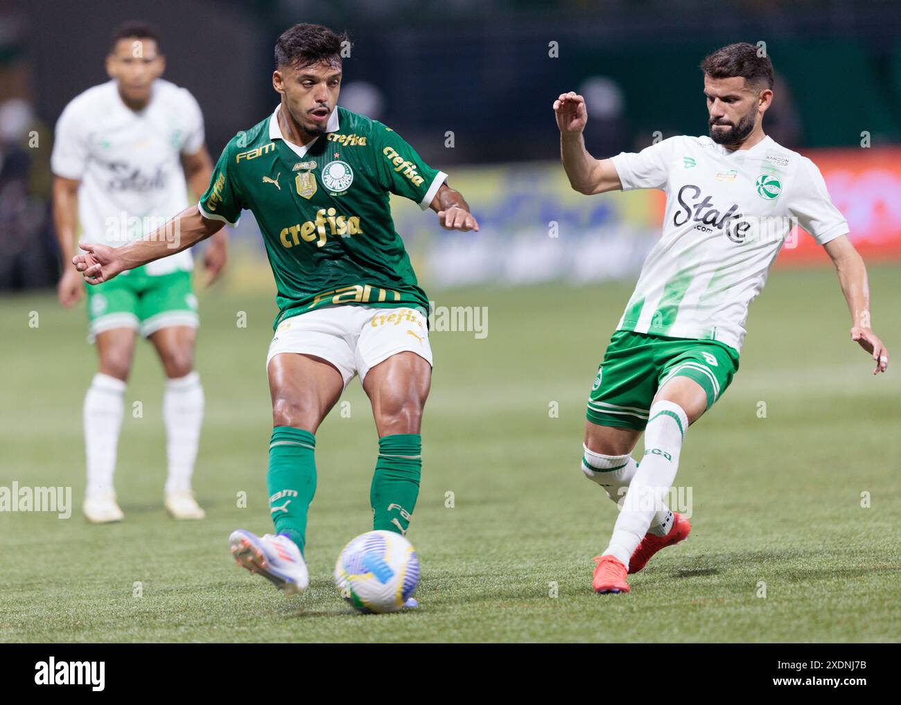 Palmeiras juventude hi-res stock photography and images - Alamy