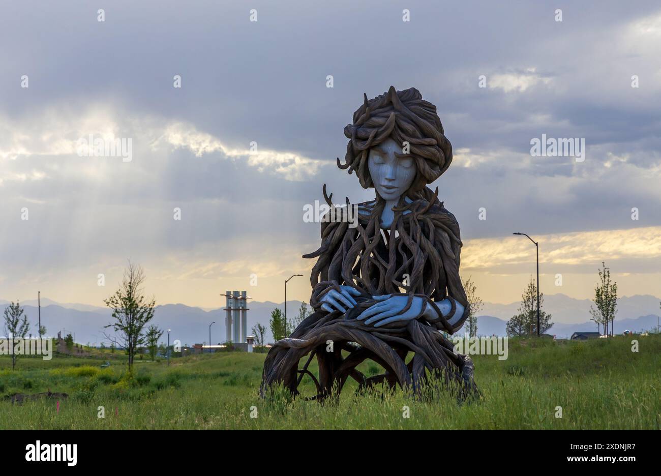 Aurora, Colorado - June 18, 2024: Umi in the grass. Daniel Popper's 21 ...