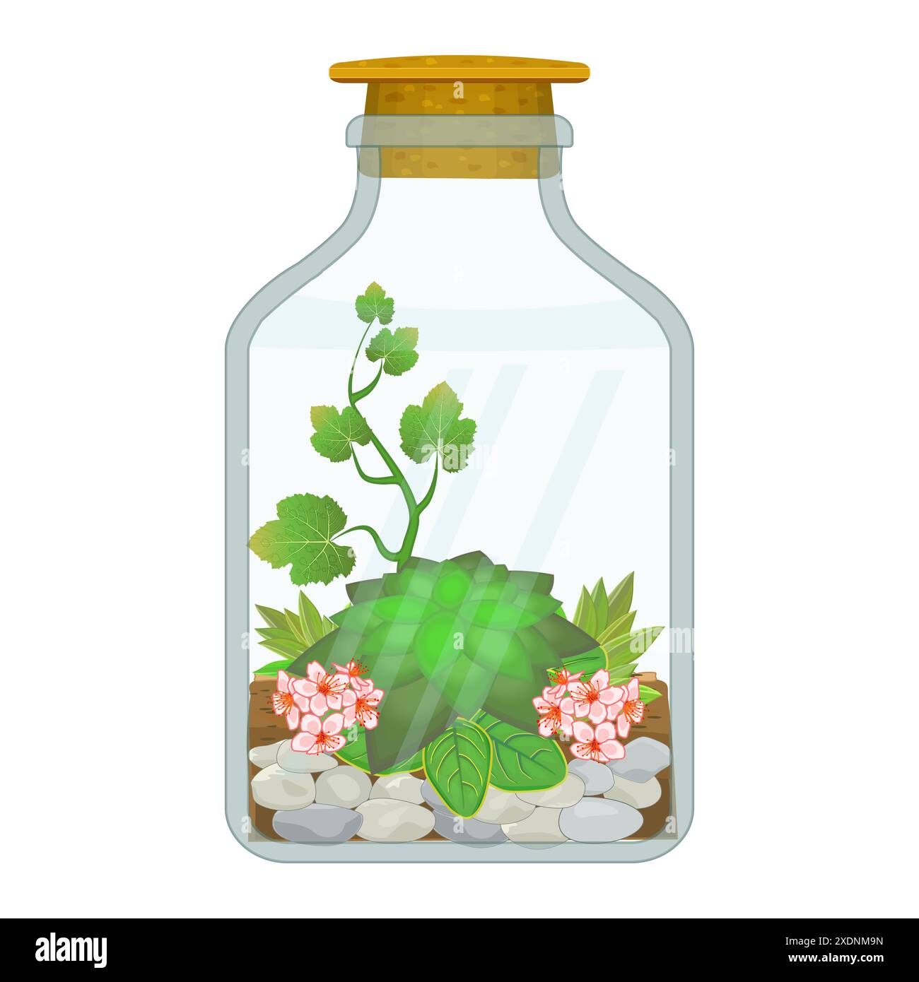 Florarium in glass jar on white background. Miniature garden in glass ...