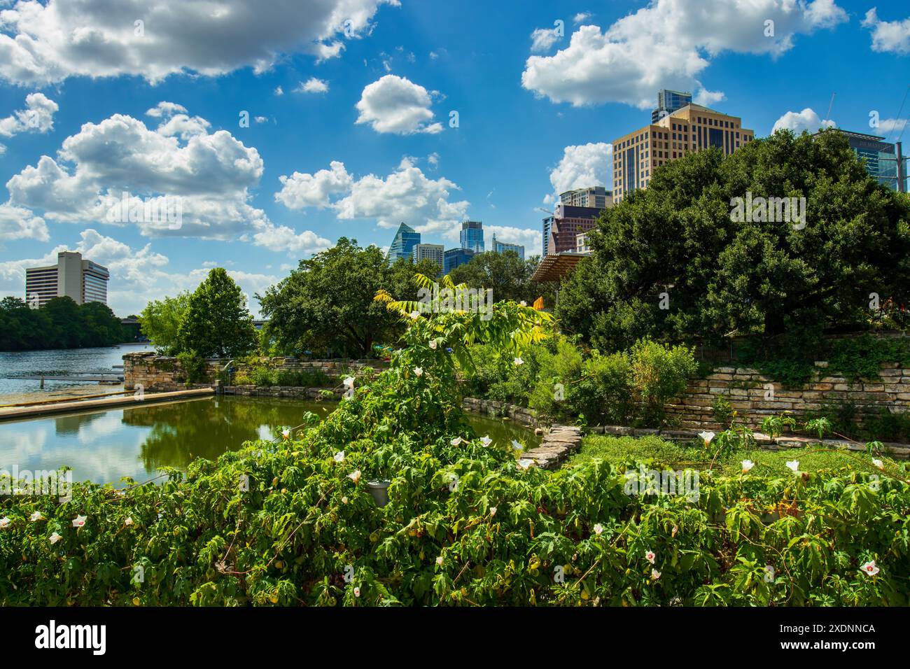A modern skyline with reflective glass buildings seamlessly integrates ...