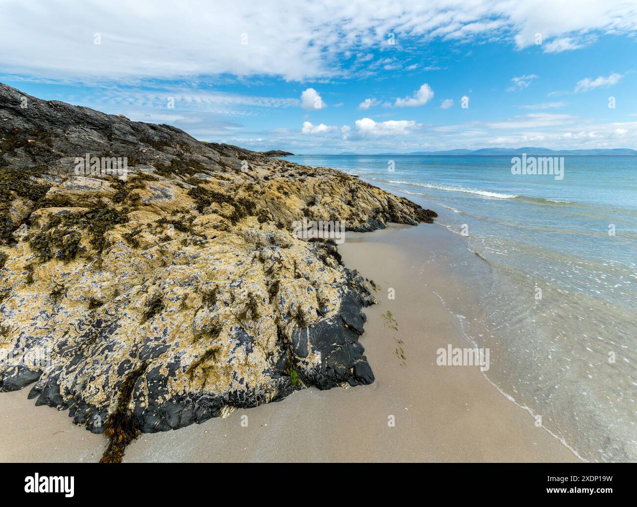 Barnacles beach hi-res stock photography and images - Alamy