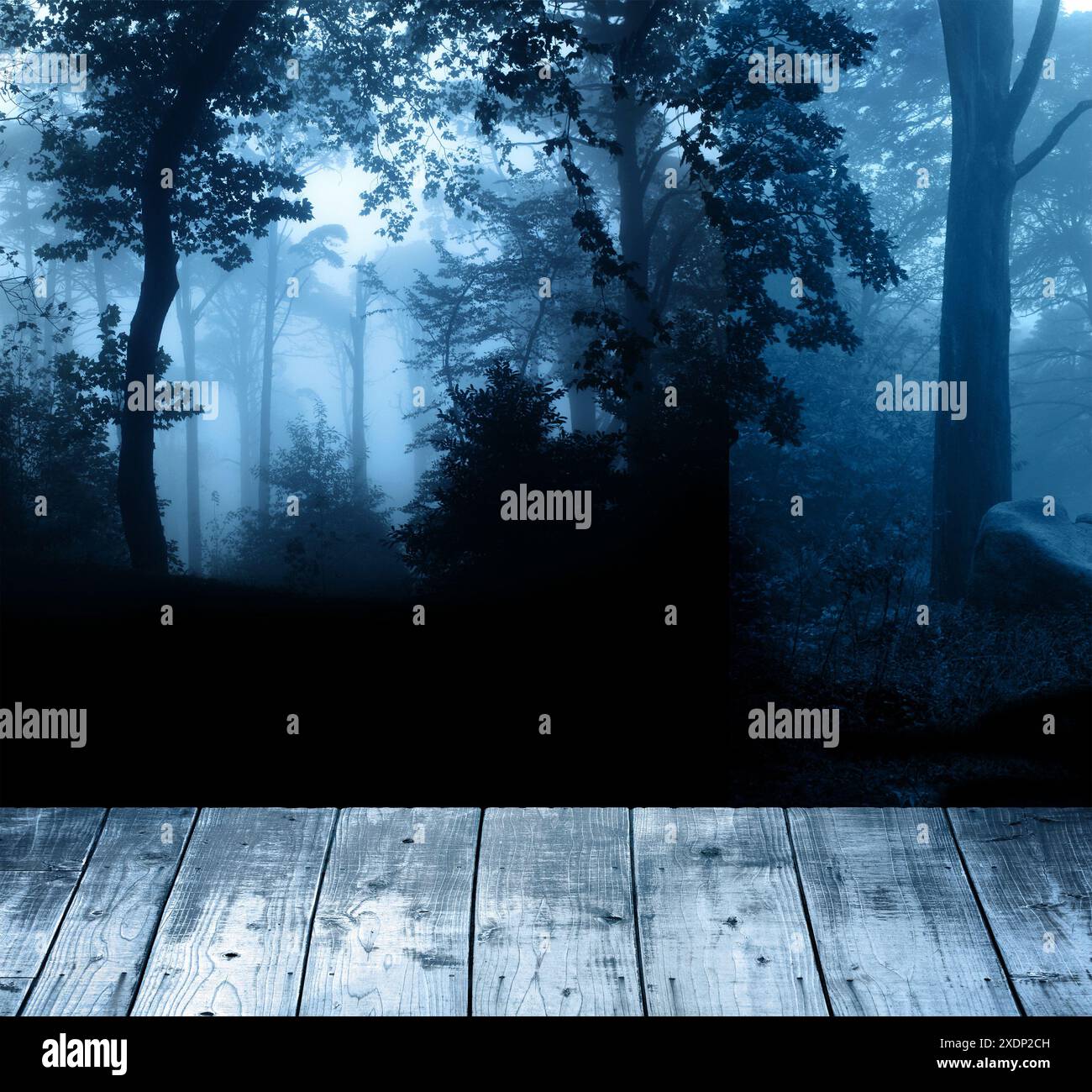 Halloween banner with scary forestland and blank wooden table top. Wood ...