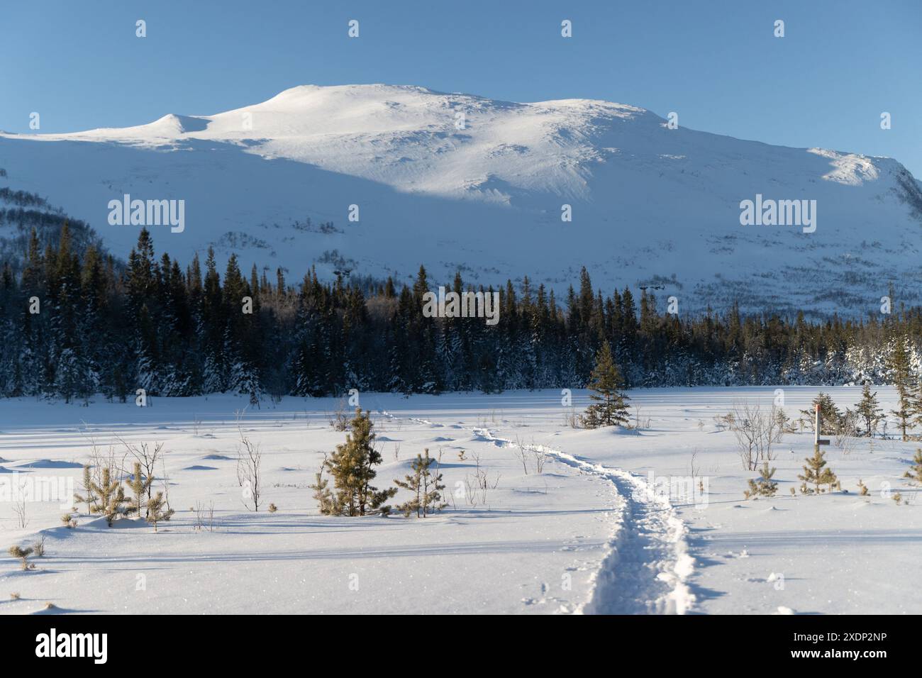 Snowy splendor stunning wilderness hi-res stock photography and images ...