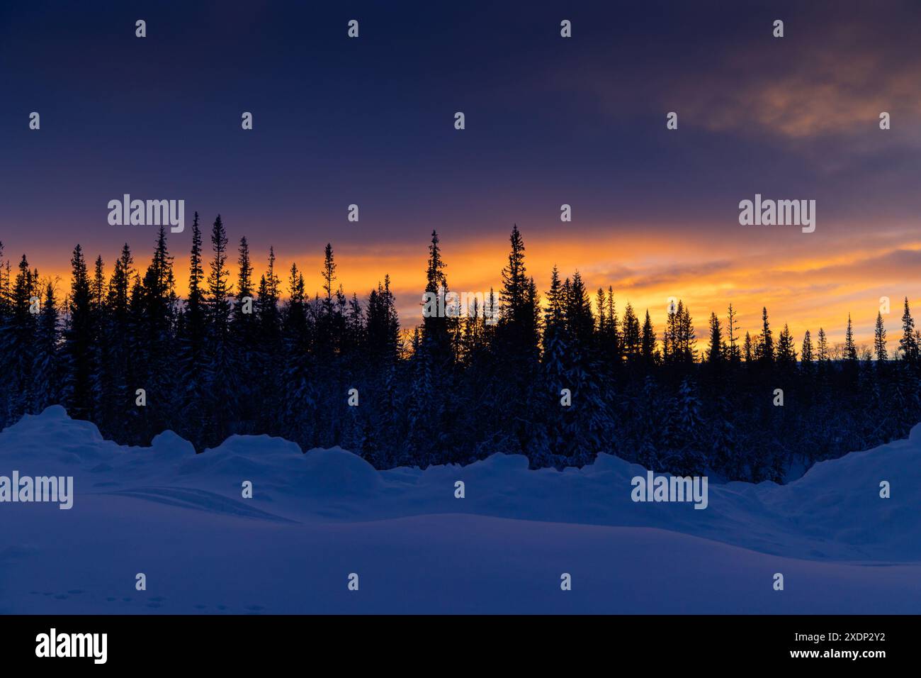 Arctic Splendor: Sunrise over Sweden's Snowy Wilderness with Colorful ...