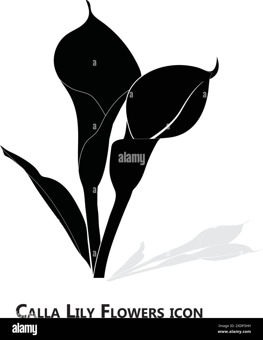 Green leaf calla lily Stock Vector Images - Alamy