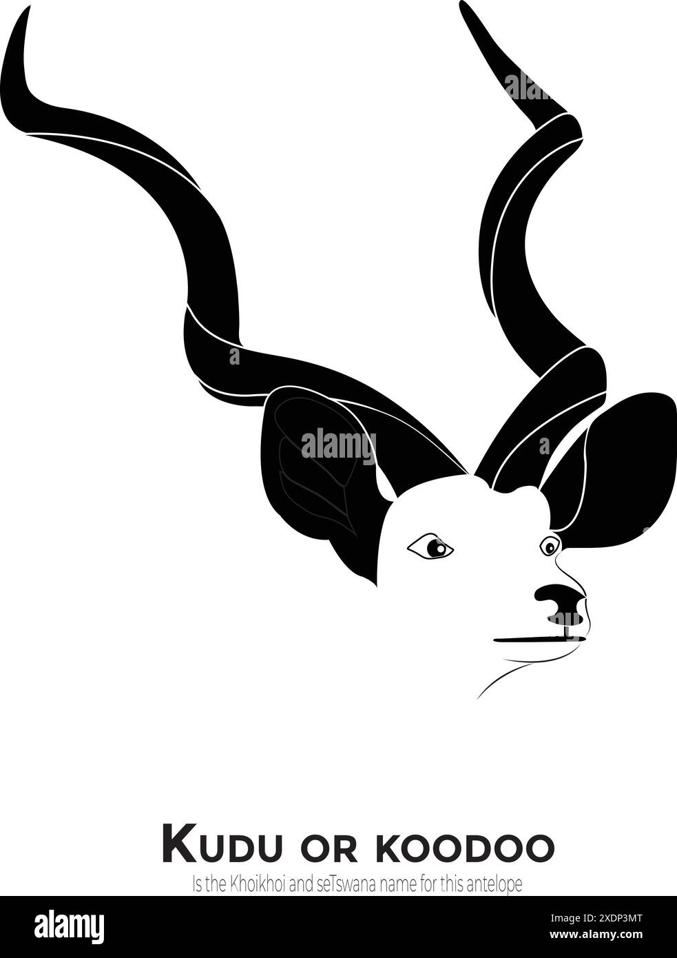 Kudu, kudo animal logo and icon Stock Vector Image & Art - Alamy