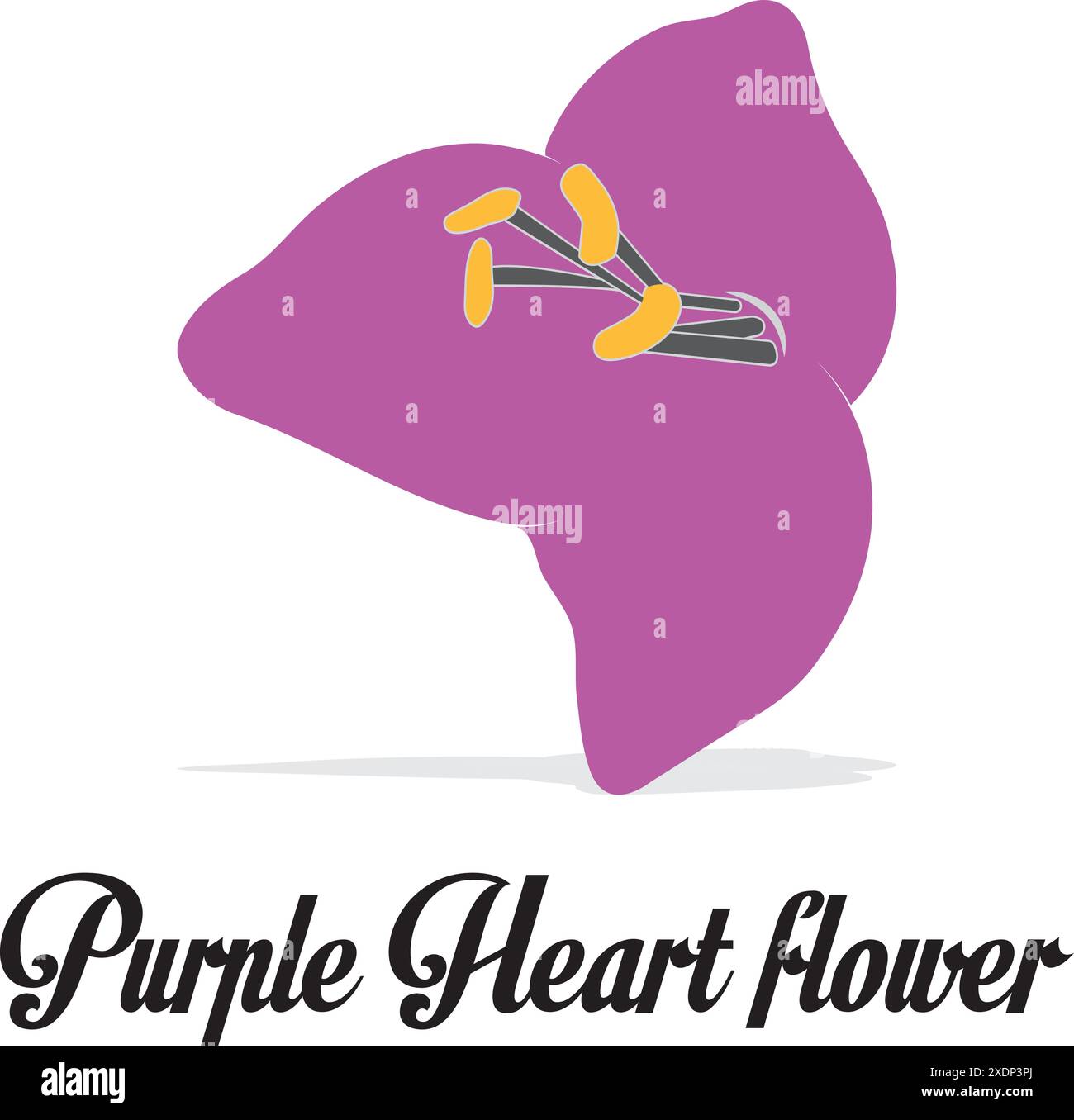 flower, leaves, leaf, purple heart flower, heart queen flower set of ...