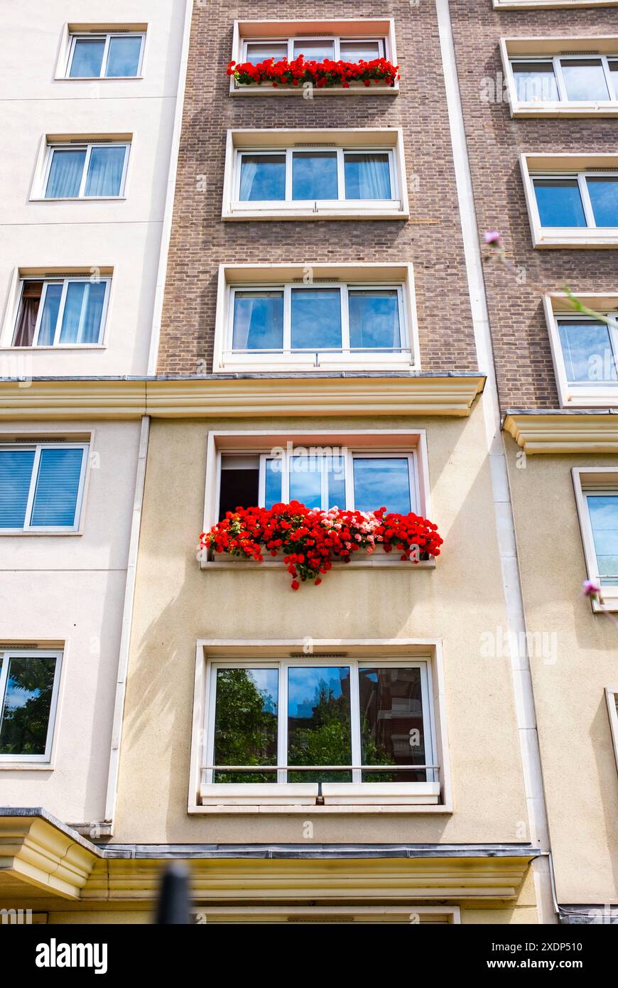 A splash of colour in window boxes with geranium plants in flats along ...