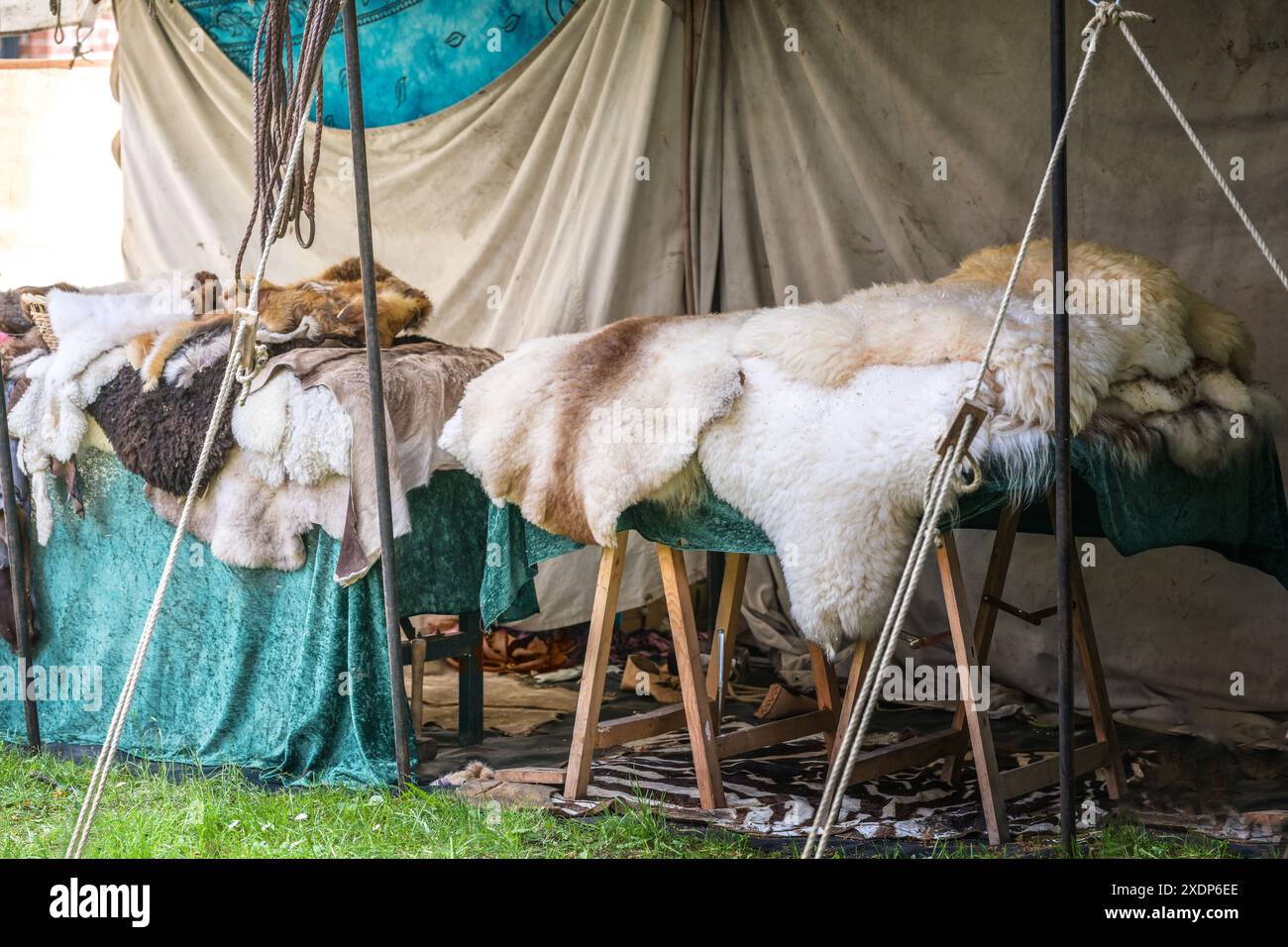Sales stall with various sheepskins at a medieval market, selected ...